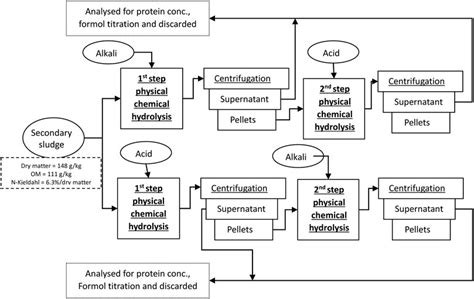 Frontiers Organic Mass And Protein Extraction From Secondary Sewage Sludge Via Multi Step