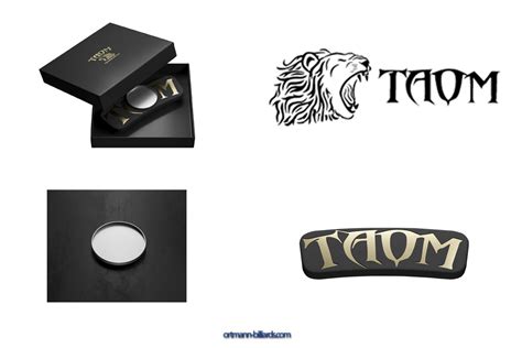 Cue Chalk Holder Taom Magnetite Ortmann Billiard Online Shop For Billiard