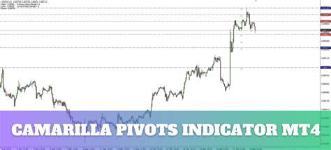 Daily Pivot Points Indicator MT4 Free Download