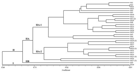 Genetic Similarity Dendrogram Based On Nei 1972 For 32 Einkorn Wheat