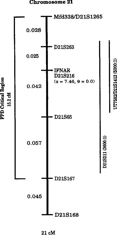 Figure 3 From Linkage Of A Familial Platelet Disorder With A Propensity To Develop Myeloid