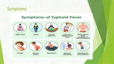 Pathophysiology Of Typhoid Fever And The Workspptx