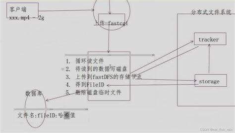 c 网络编程项目fastdfs分布式文件系统（五 nginx fastdfs c 分布式软件 csdn博客