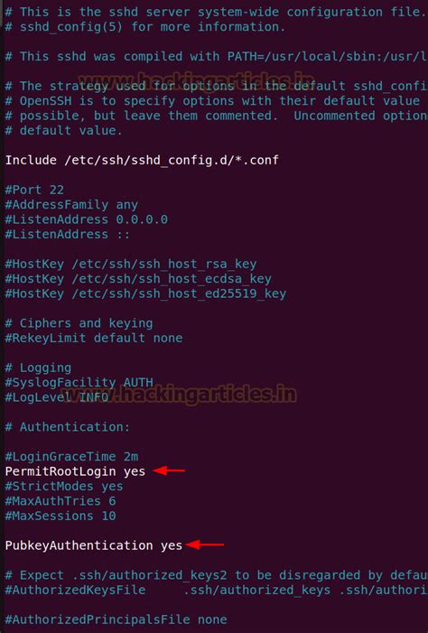 Disk Group Privilege Escalation Hacking Articles