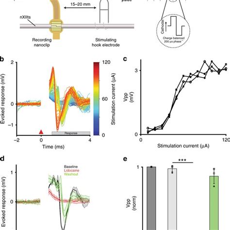 Comparison Of Extra Neural Peripheral Nerve Interfaces Download