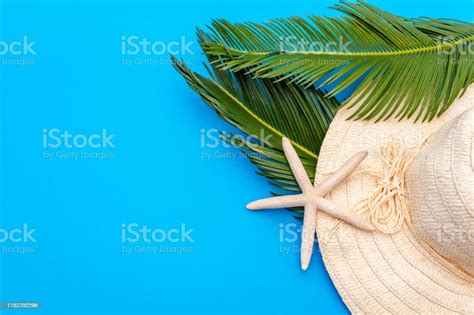 여행자 액세서리 열 대 야자수 잎 텍스트에 대 한 빈 공간을 가진 파란색 배경에 가지 여행 휴가 개념입니다 여름 배경입니다 평면 누워 평면도 개념에 대한 스톡 사진 및 기타