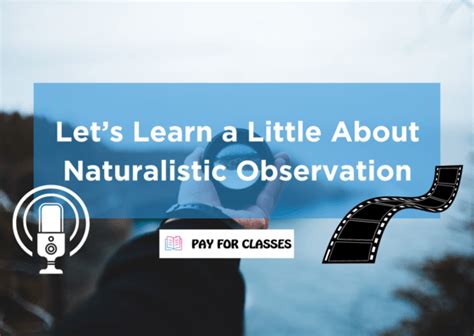 Lets Learn A Little About Naturalistic Observation