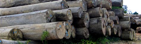 Spatial Data Management And Analysis Sekala