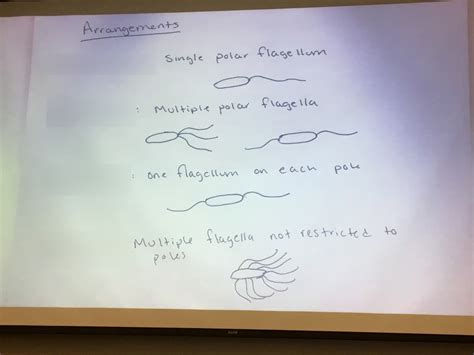 Arrangements Diagram Quizlet