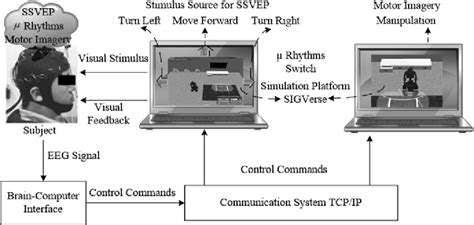 Figure 1 From Design Of A Multimodal Eeg Based Hybrid Bci System With Visual Servo Module