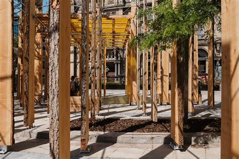 Studio Bark Designs Sculptural Forest Timber Installation For Leeds