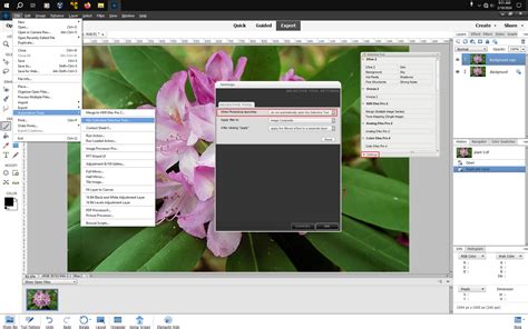 Solved Nik Collection Plug In Keeps Popping Up On Screen Adobe