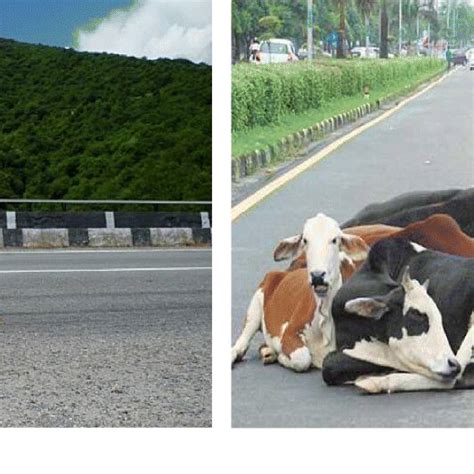 Comparison Among Different Object Detection Algorithms Download Scientific Diagram