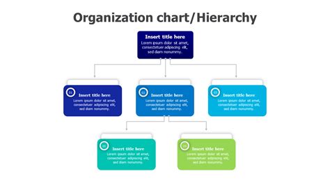 Organization Chart Hierarchy Inforgraphics Slides