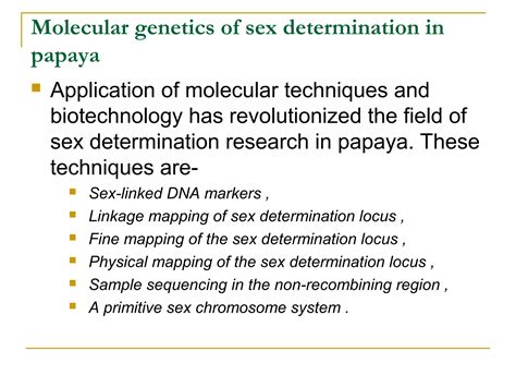 Sex Determination In Papaya Ppt