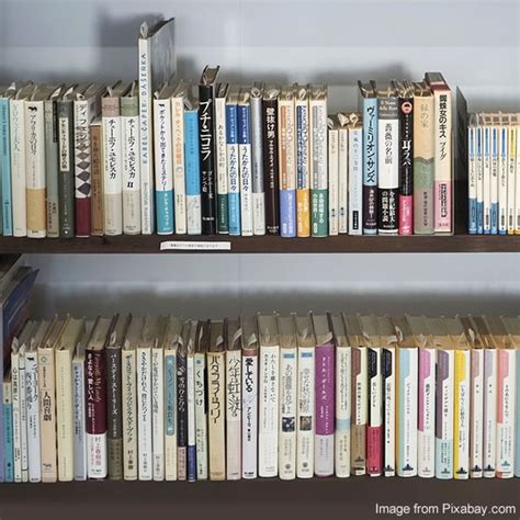 Bibliophobia
