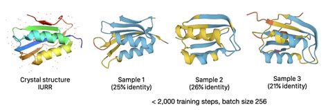 Score Entropy Discrete Diffusion Models For Protein Design Alex Carlin