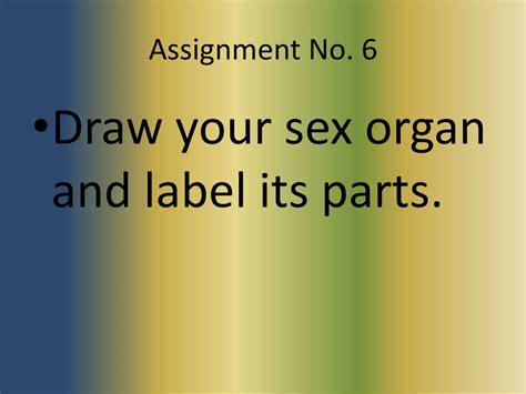 Write The Parts And Functions Of The Female Reproductive System Ppt Download