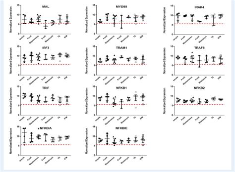Expression Of Tlr Signalling Molecules In Human Preimplantation