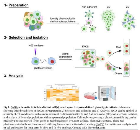 Live Cell Platform For Multi Omic Profiling Chris Shumate Posted On