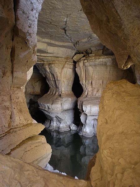 Birding Never Sleeps Ethiopia 18 February 2011 Sof Omar