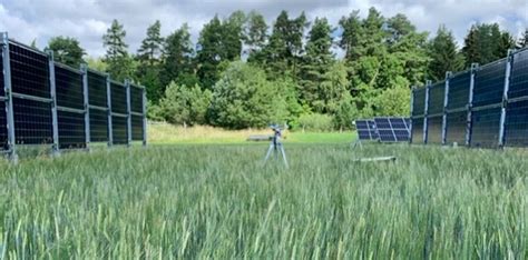 Vertical Agrivoltaics For Barley Pv Magazine International
