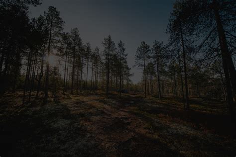 Nordic Shield Group