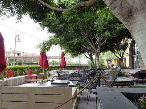 Olive And Ivy Scottsdale Downtown Scottsdale Menu Prices