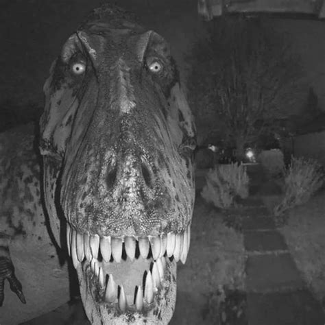 Dado🎲 Negrettolooo • Instagram Profile Dinosaur Meme Scary Photos