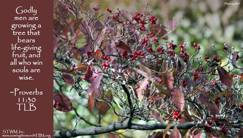 Godly Men Are Growing A Tree That Bears Life Giving Fruit And All Who