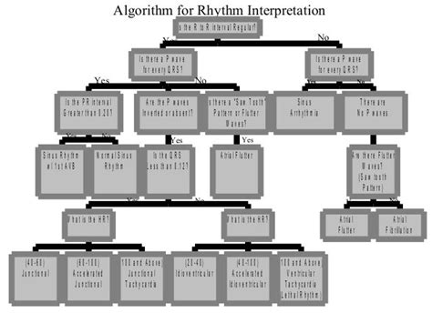 Algorithm For Rhythm Interpretation1 Algorithm Rhythms Ventricular Rate