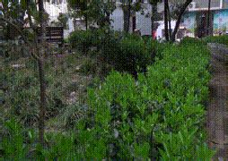 国产Spank 茉莉红花 汉责文化 涵蓝 刀锋 左左 樱桃小筑 实践自拍 茉莉红花 spank庄园 spank视频在线看 第4页