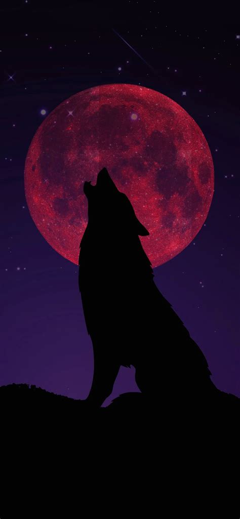 Alpha Wolf Wallpapers Tubewp