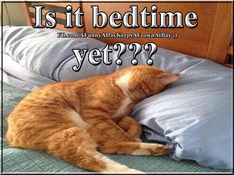 Is It Bedtime Yet Meme