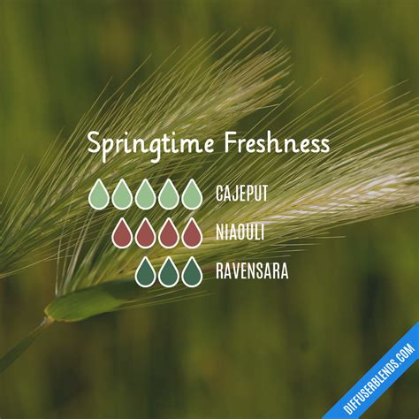 Springtime Freshness Springtime Freshness