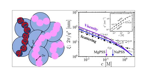 Quantifying The Effect Of Multivalent Ions In Polyelectrolyte Solutions Macromolecules