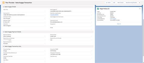 Custom Fields And Custom Objects In Your Salesforce Layouts Salsa