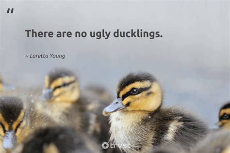 42 Duck Quotes And Sayings About The Friendly Waterfowls 2024