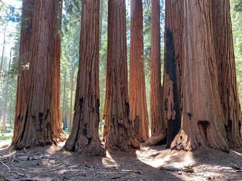 Oracle Hcm Cloud 24a — The Redwood Release By Kate Mead Version 1