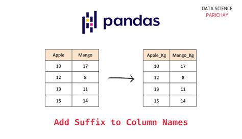 Pandas Add Suffix To Column Names Data Science Parichay