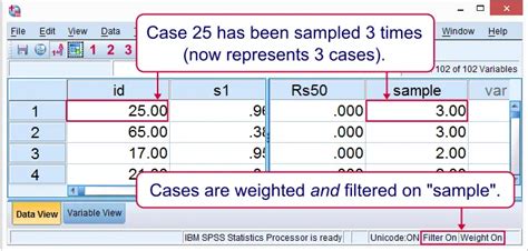 Sampling In Spss Simple Tutorial And Examples