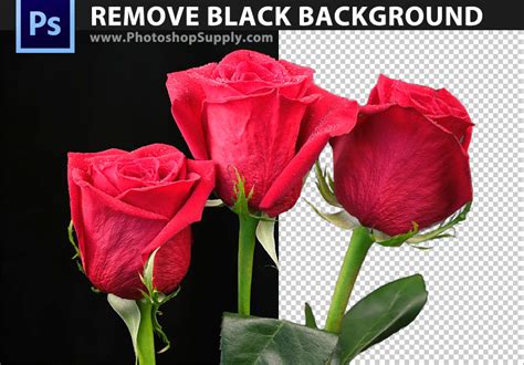 Remove Black Background Photoshop Action Visualstorms