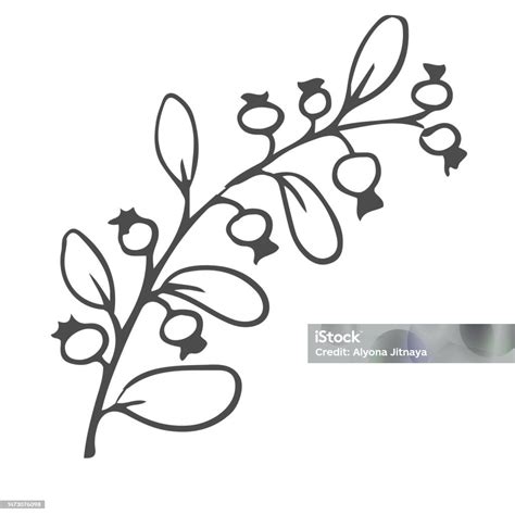 낙서 손으로 그린 나뭇잎 단풍 흰색 배경에 격리된 귀여운 우아한 미적 식물 테두리 디자인 요소 스케치 드로잉 벡터 그림 가을에 대한 스톡 벡터 아트 및 기타 이미지 Istock