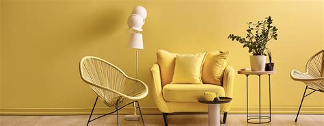 Decoración Monocromática Crea Espacios Elegantes Y Sofisticados