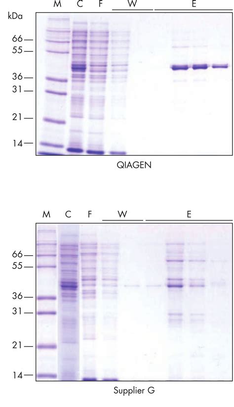 Ni Nta Superflow Cartridges