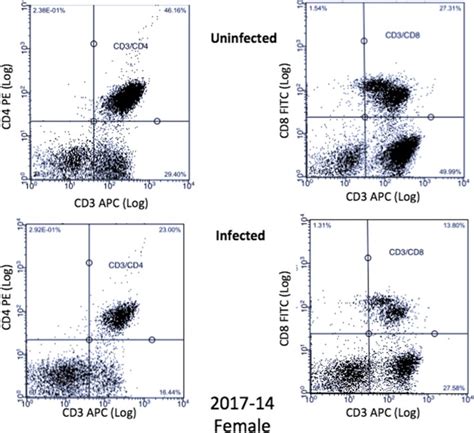 An Inherent T Cell Deficit In Healthy Males To C Neoformans Infection