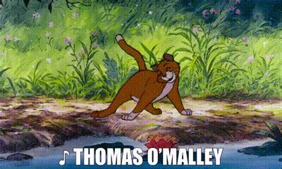 Yarn ♪ Thomas Omalley The Aristocats Video S By Quotes