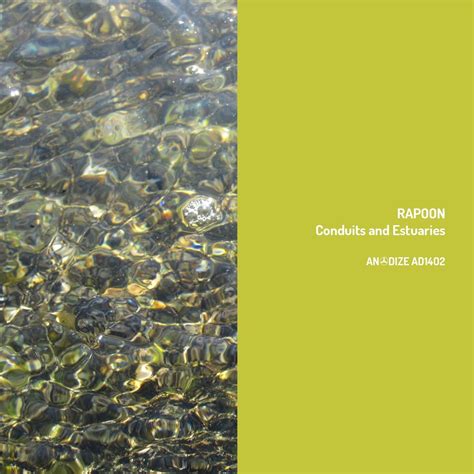 Conduits And Estuaries By Rapoon Album Sound Collage Reviews