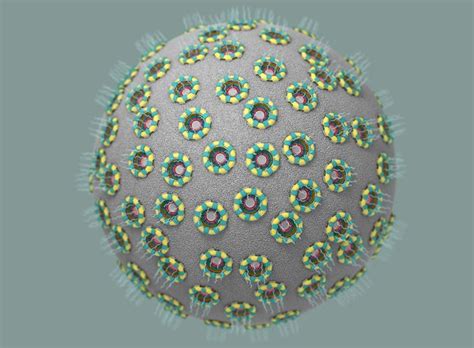 Decoding A Key Part Of The Cell Atom By Atom Biology And Biological Engineering