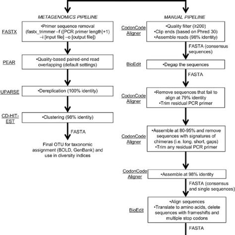 Schematic Of Bioinformatic Steps Metagenomic And Manual Pipelines